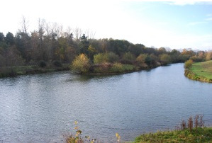 Fishing Hotspots | Explore | Norfolk Broads